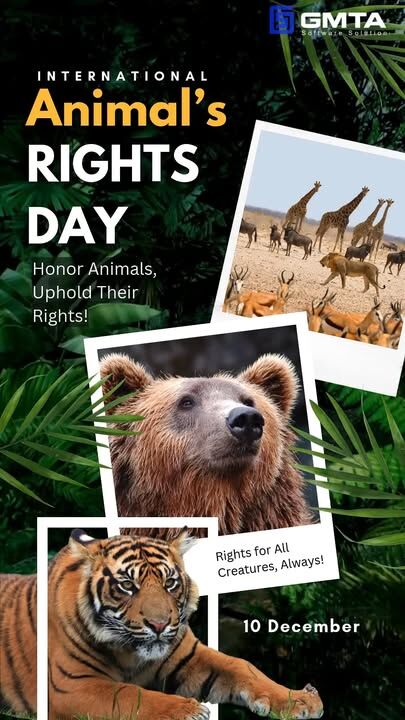 Veterinarian in Salado, TX | Pet Boarding | Pet Grooming | Animal ...